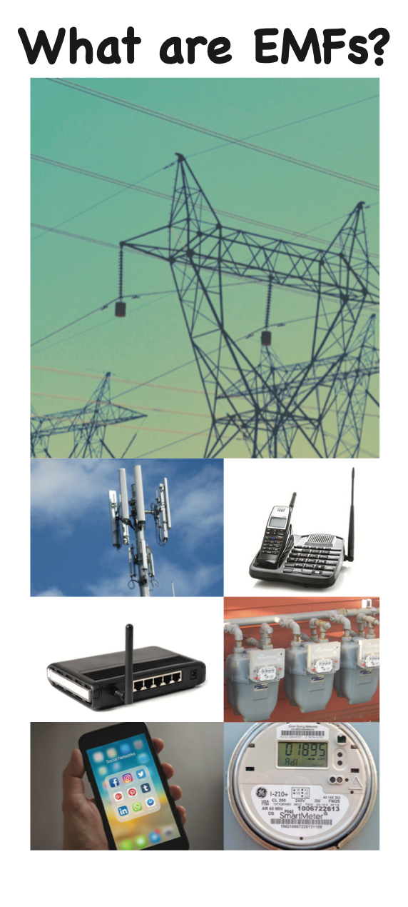 EMF Safety Network – We envision a world free of EMF pollution where ...